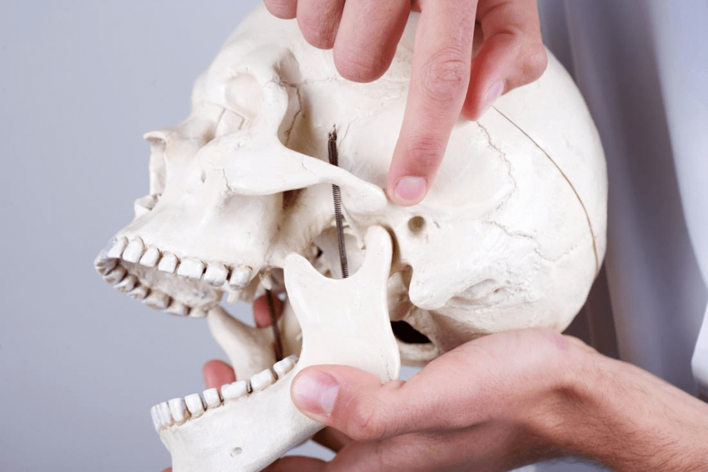 The development of TMJ Syndrome is attributed to various factors ...